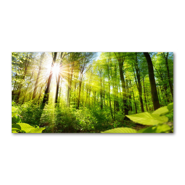 Union Rustic Wald in der Sonne - Ungerahmte Kunstdrucke auf Leinwand | Wayfair.de